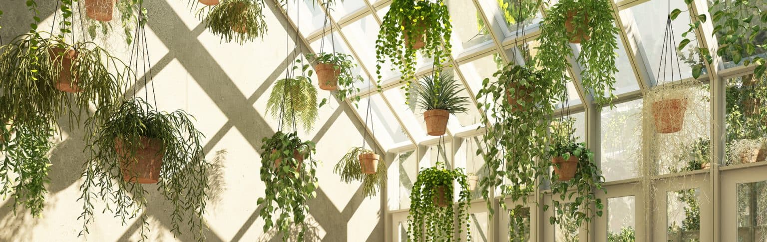 Skylights: The Best Way to Create Your Own Indoor Garden - SIG Skylights